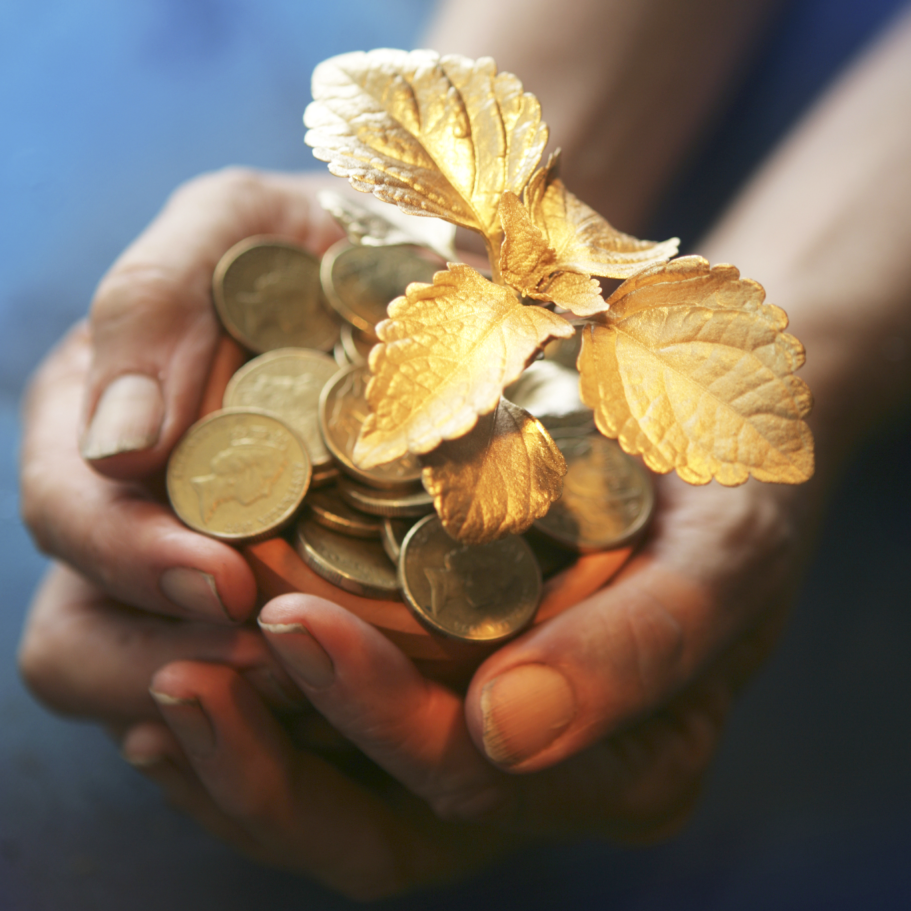 Investment Road Test: Challenger Annuities - InvestSMART